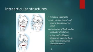 Knee dislocation.pptx