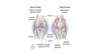 Approach to knee dislocation and how to manage it.pptx