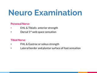 Knee dislocation ext ณัฐ | PPTX