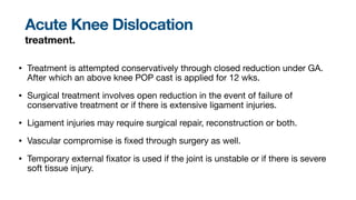 Knee Dislocation Orthopaedics MBBS Presentation | PDF