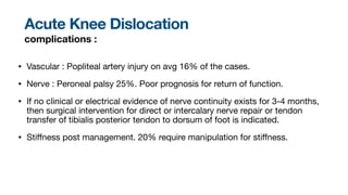 Knee Dislocation Orthopaedics MBBS Presentation | PDF