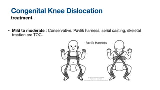 Knee Dislocation Orthopaedics MBBS Presentation | PDF