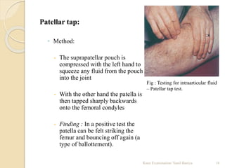 Knee examination | PPT