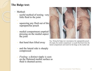 Knee Exam Tests