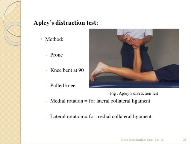 Knee examination