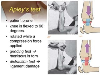 Knee examination | PPTX
