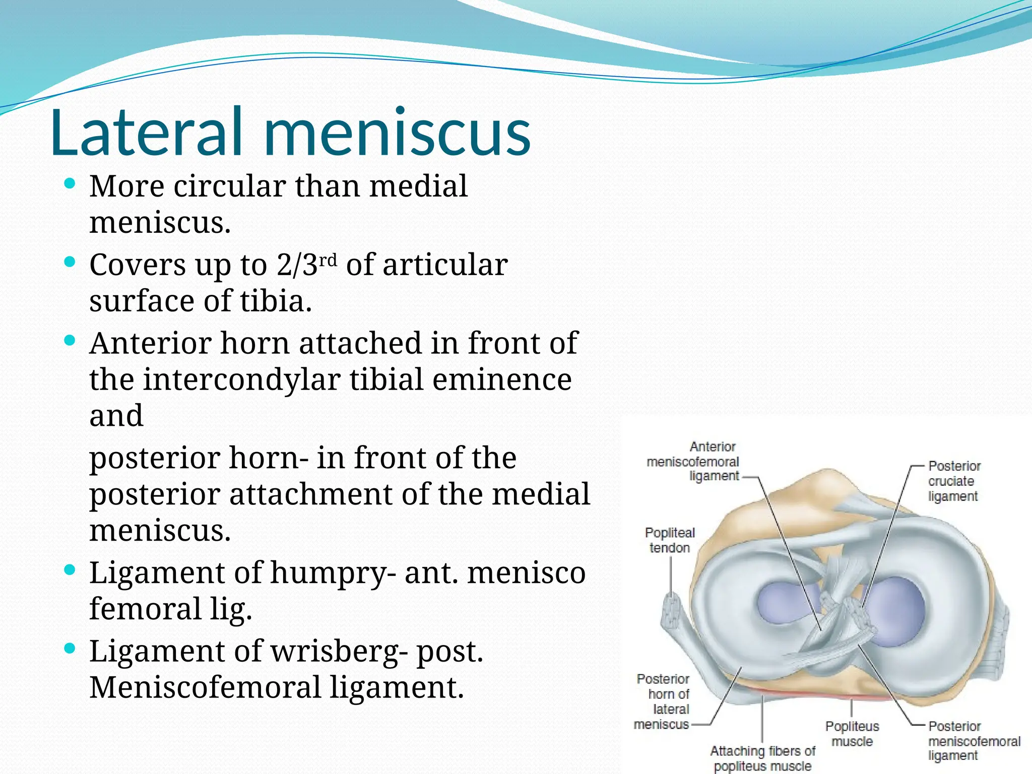 kneeexamination kneeexaminationkneeexaminationkneeexamination.pptx