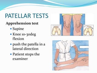 Knee examination | PPT
