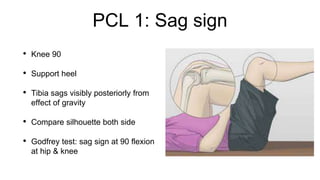 Knee examination | PPTX