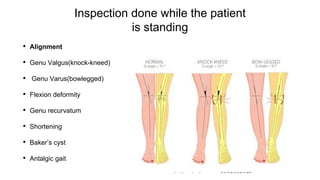 Knee examination | PPTX