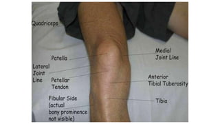 Knee examination | PPTX