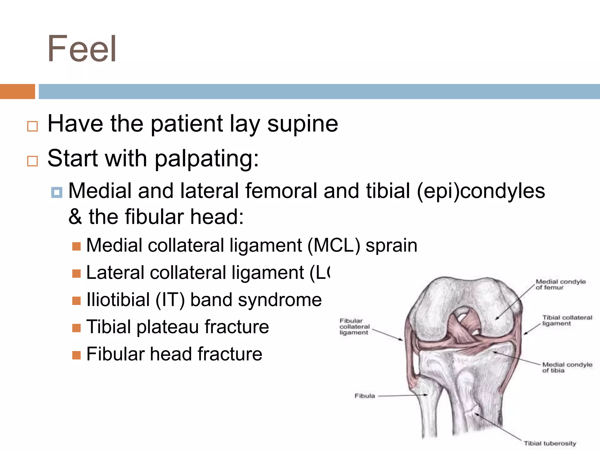 Knee Examination.pptx