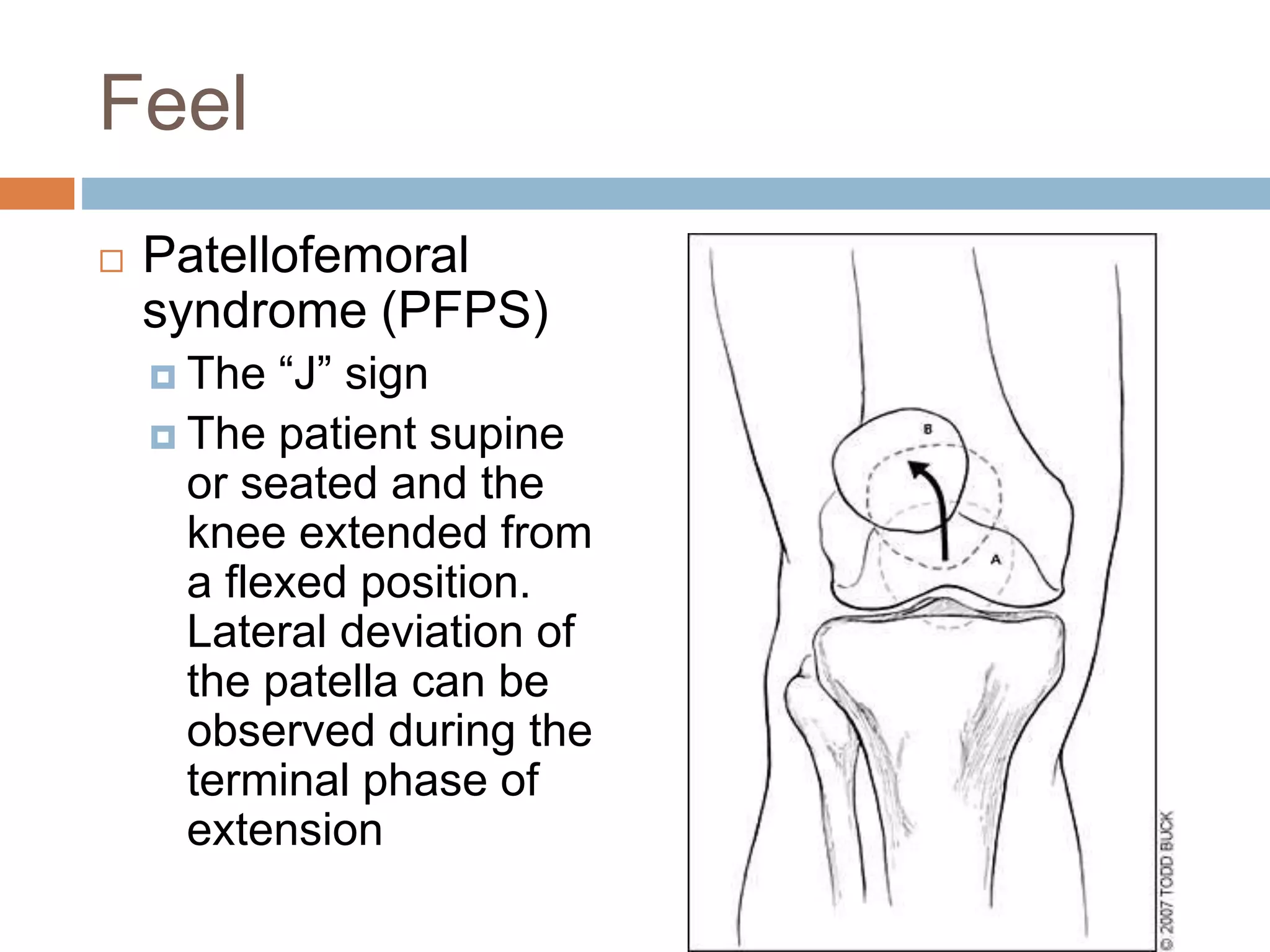 Knee Examination.pptx