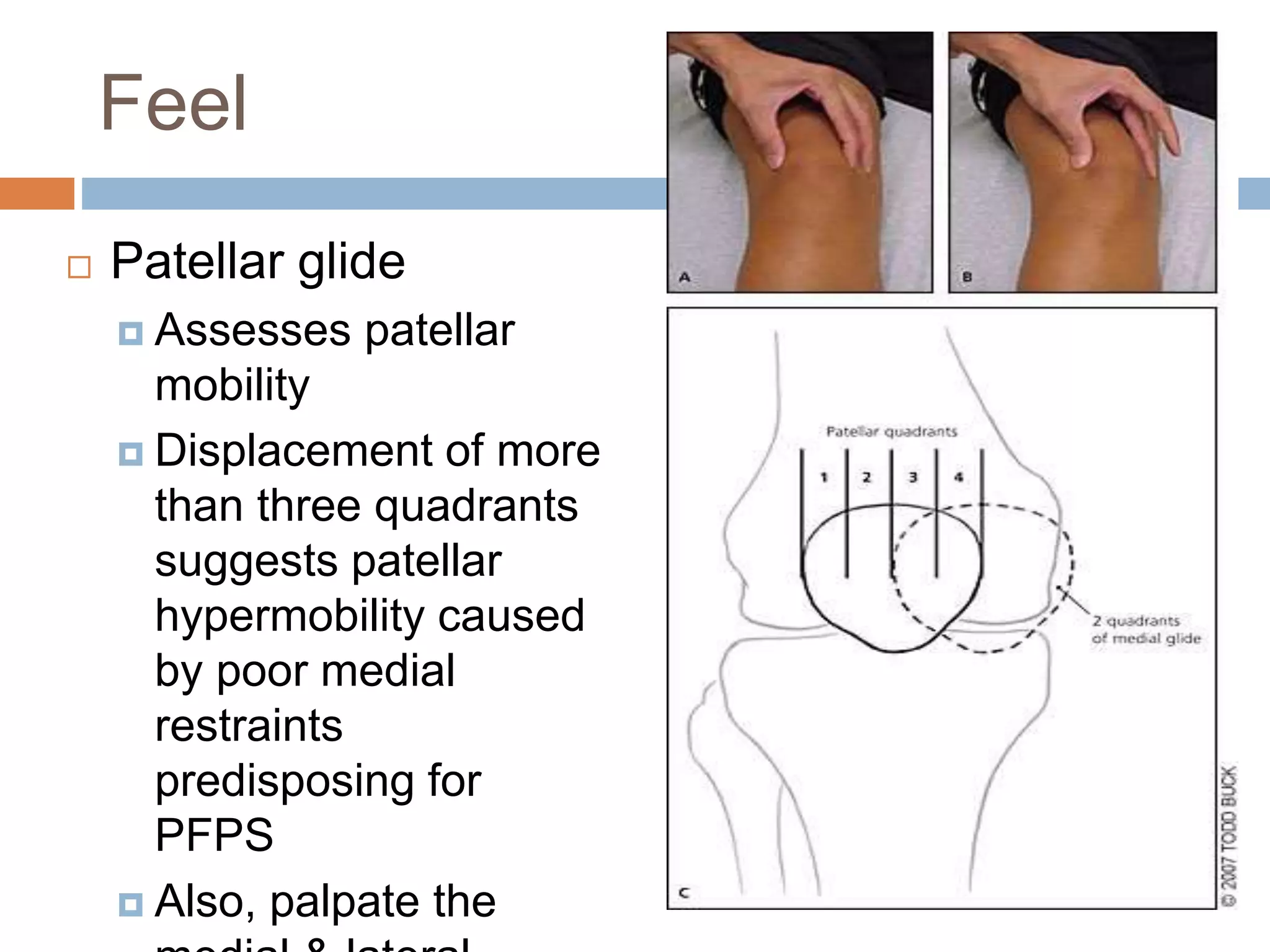 Knee Examination.pptx