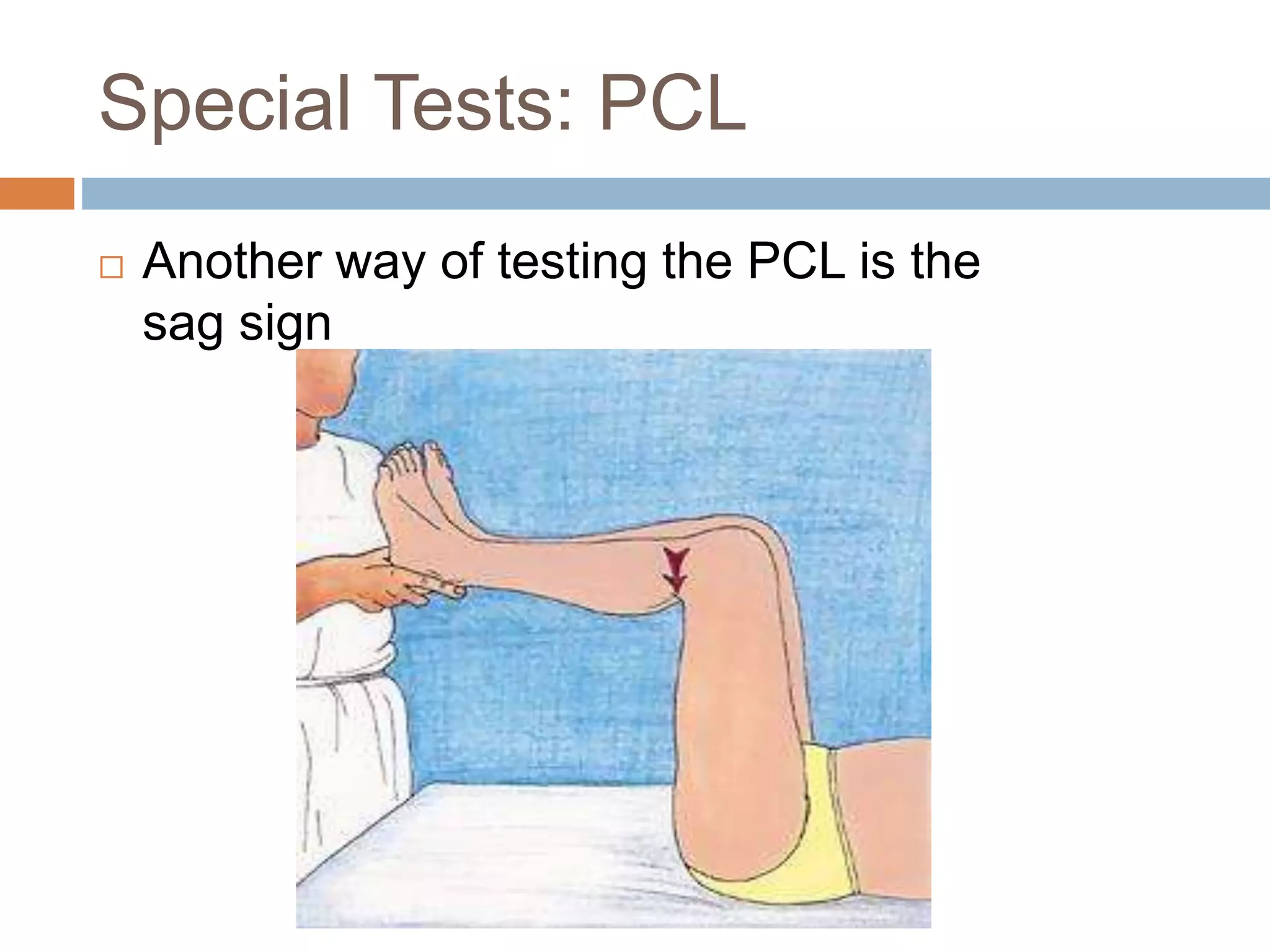 Knee Examination.pptx