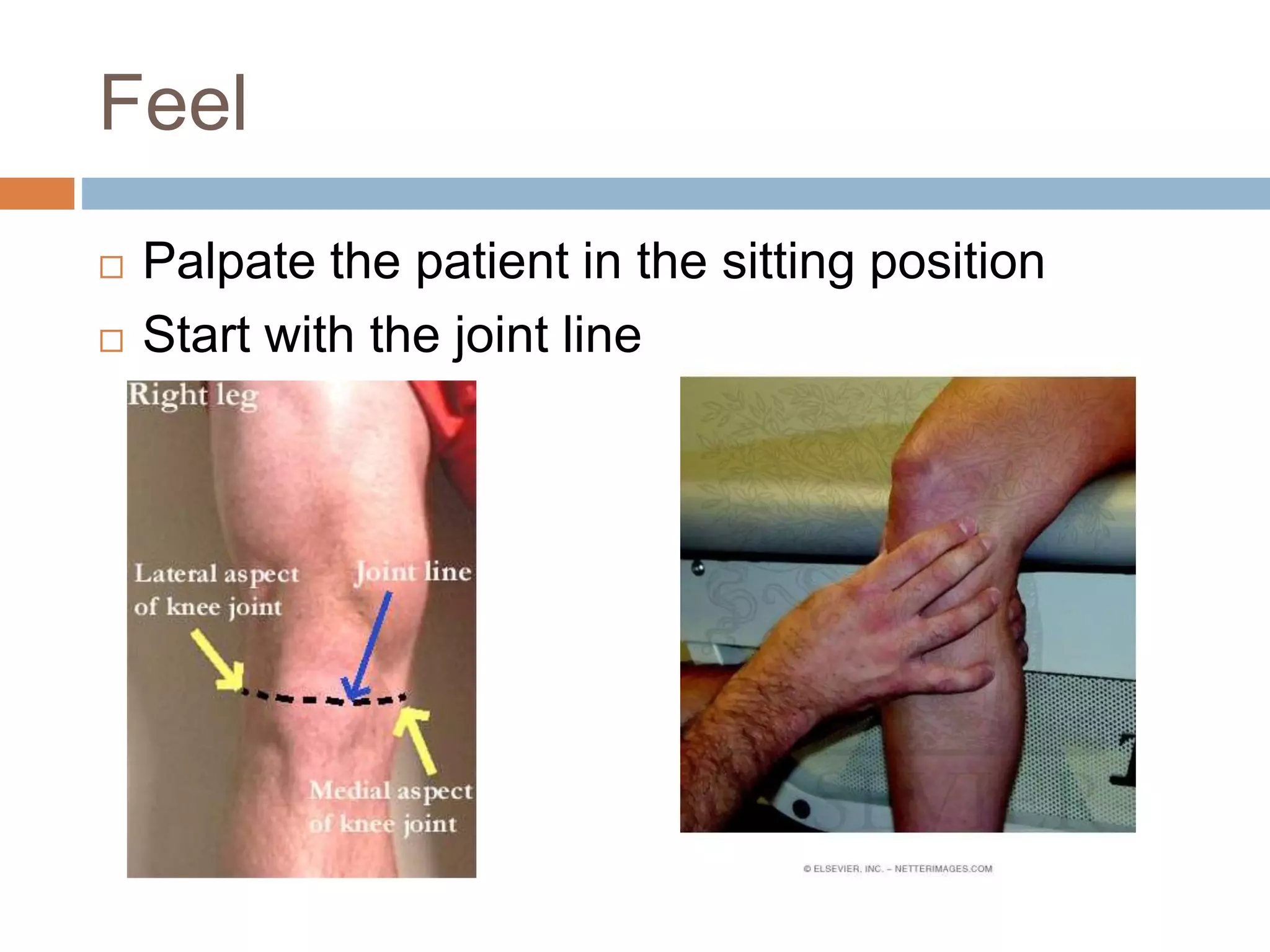 Knee Examination.pptx