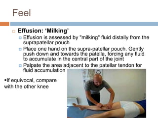 Knee Examination.pptx