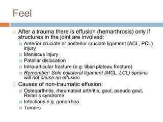 Knee Examination.pptx