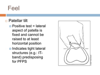Knee Examination.pptx