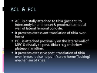 Knee clinical examination by Dr YAGNIK | PPT | Free Download