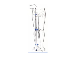 MSK Module Knee Examination in Orthopedics.ppt