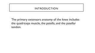 knee extensor mechanism injuries222.pptx