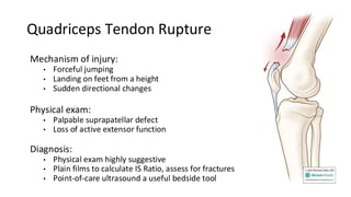 Knee Extensor Mechanism Injuries - Orthopedic Radiologic Imaging | PDF