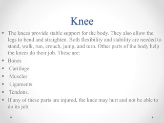 Knee & injuries | PPTX