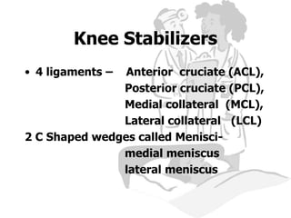 Knee injuries in sports medicine & arthroscopy | PPT