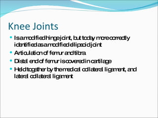 Knee Injury[3] | PPT