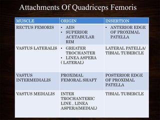 Ligamnet around knee and injury and management | PDF
