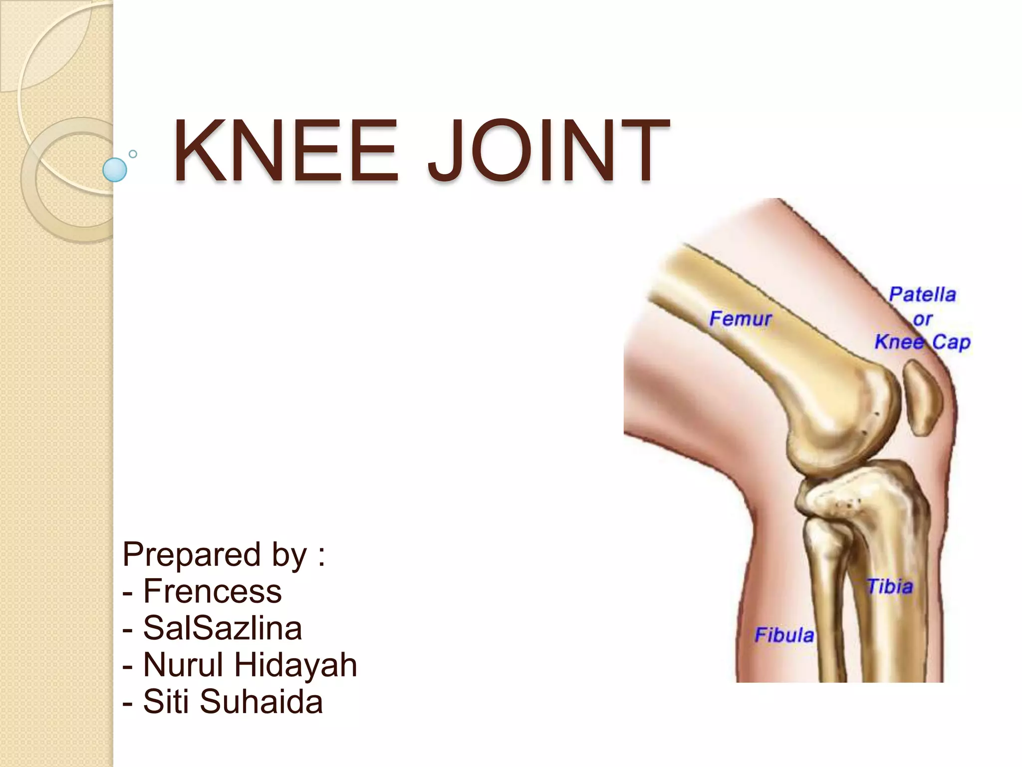 Knee joint | PPT