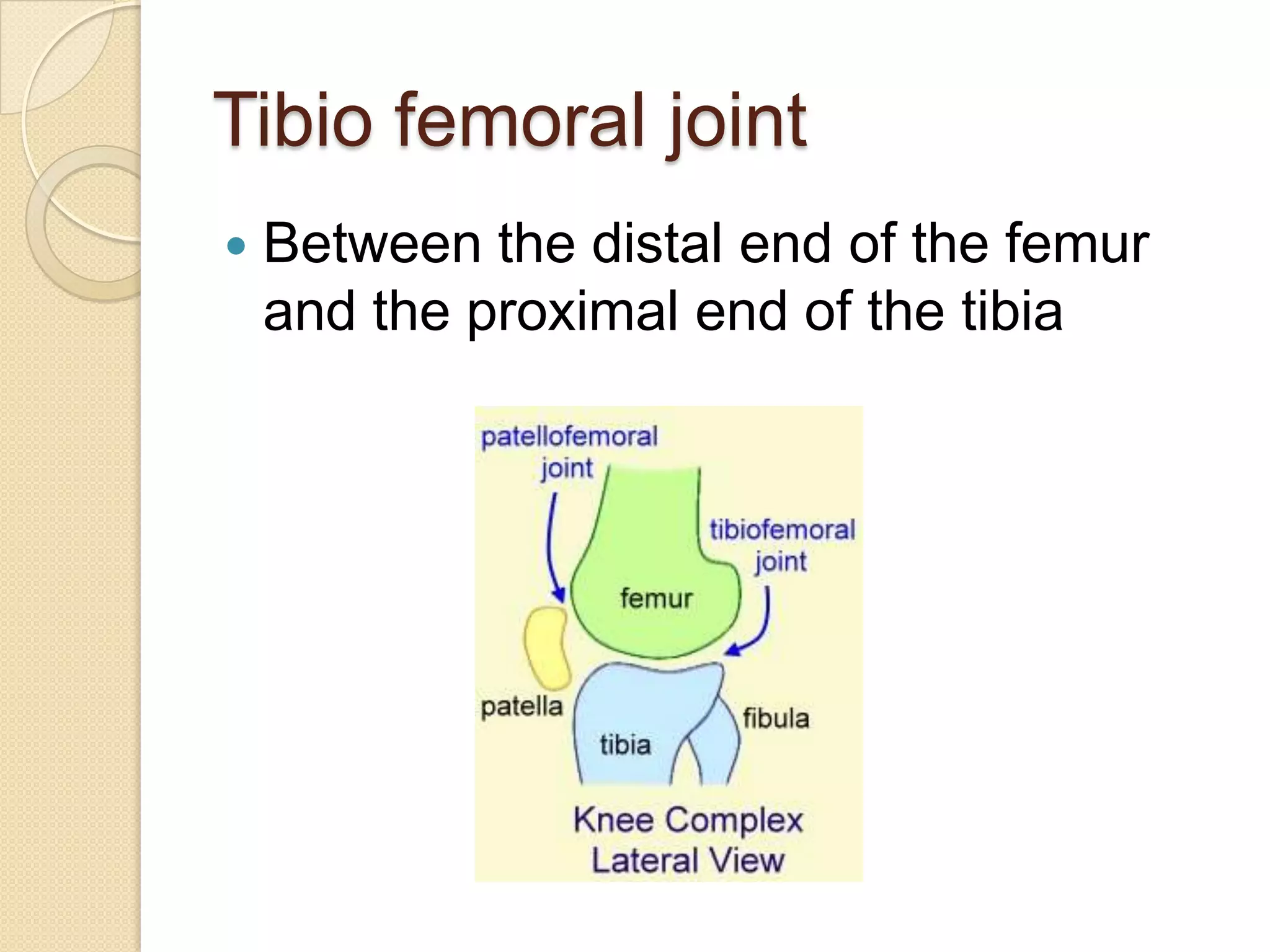 Knee joint | PPTX