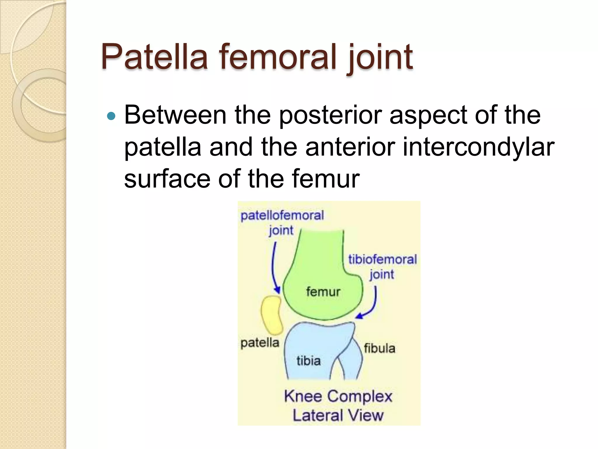 Knee joint | PPTX