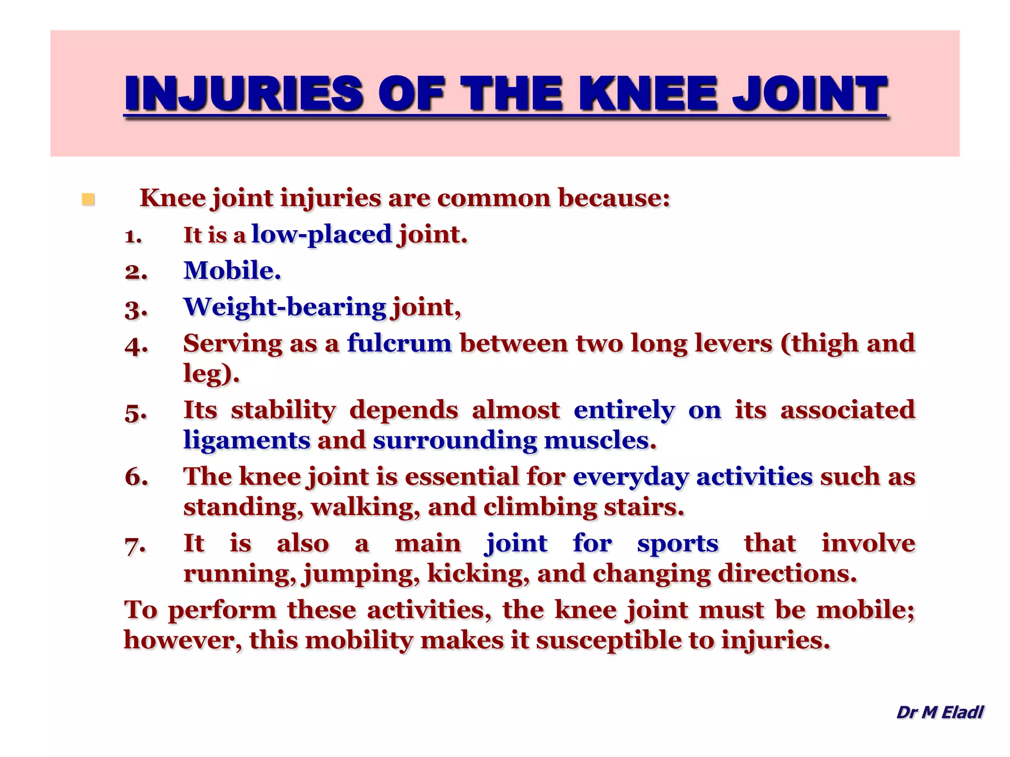 Anatomy of the Knee Joint | PPTX