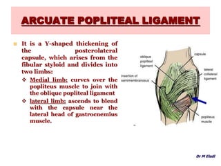Anatomy of the Knee Joint | PPTX