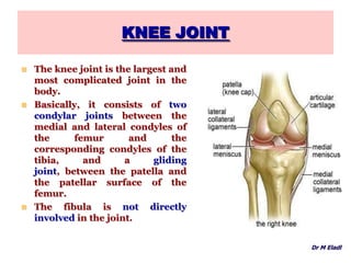Anatomy of the Knee Joint | PPTX