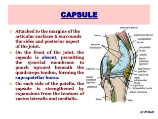 Anatomy of the Knee Joint | PPTX