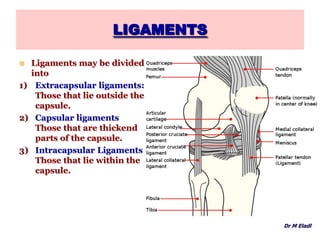 Anatomy of the Knee Joint | PPTX