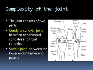 Knee joint | PPTX