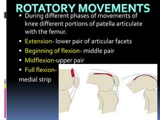 Knee joint | PPTX
