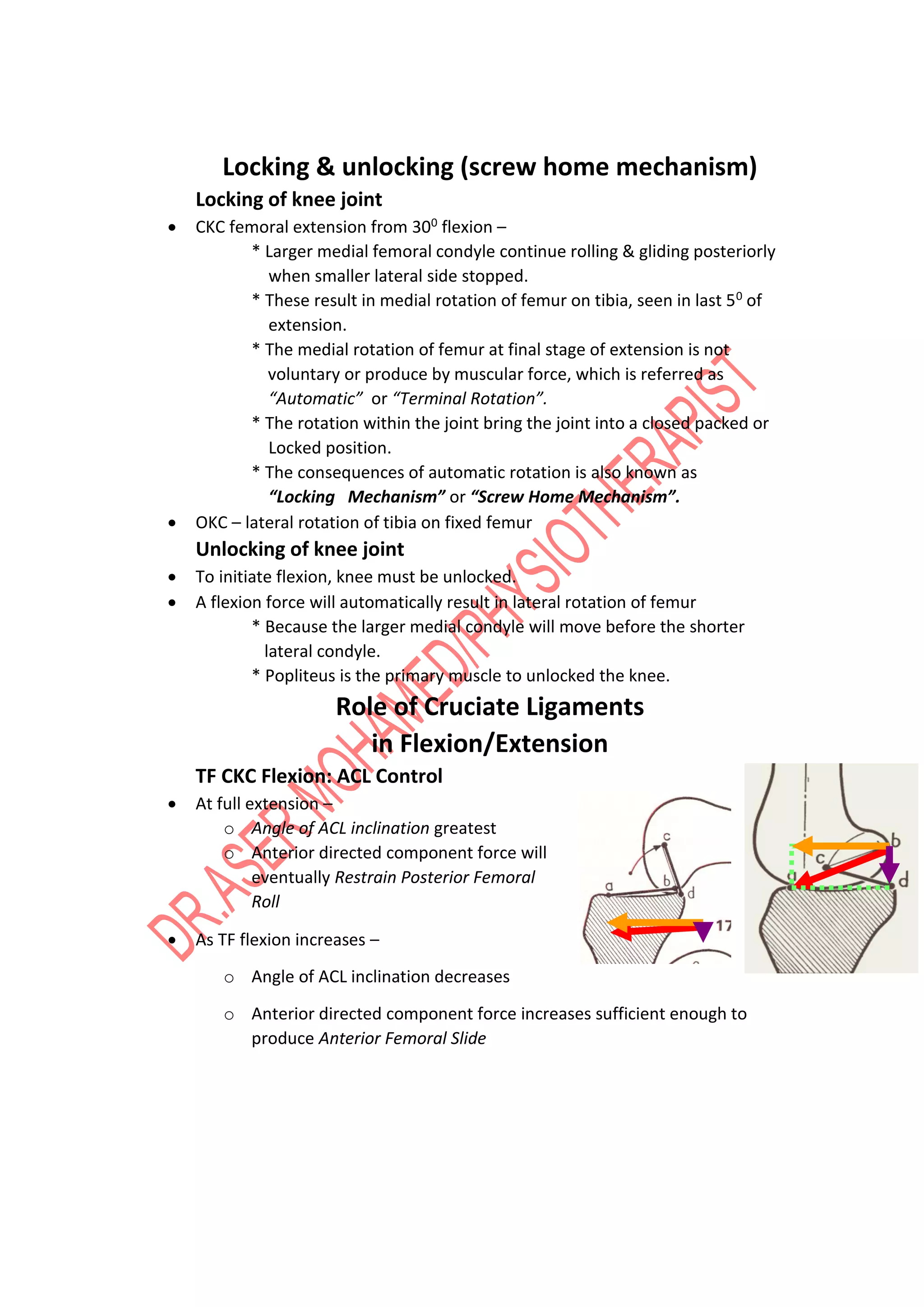 Knee joint | PDF