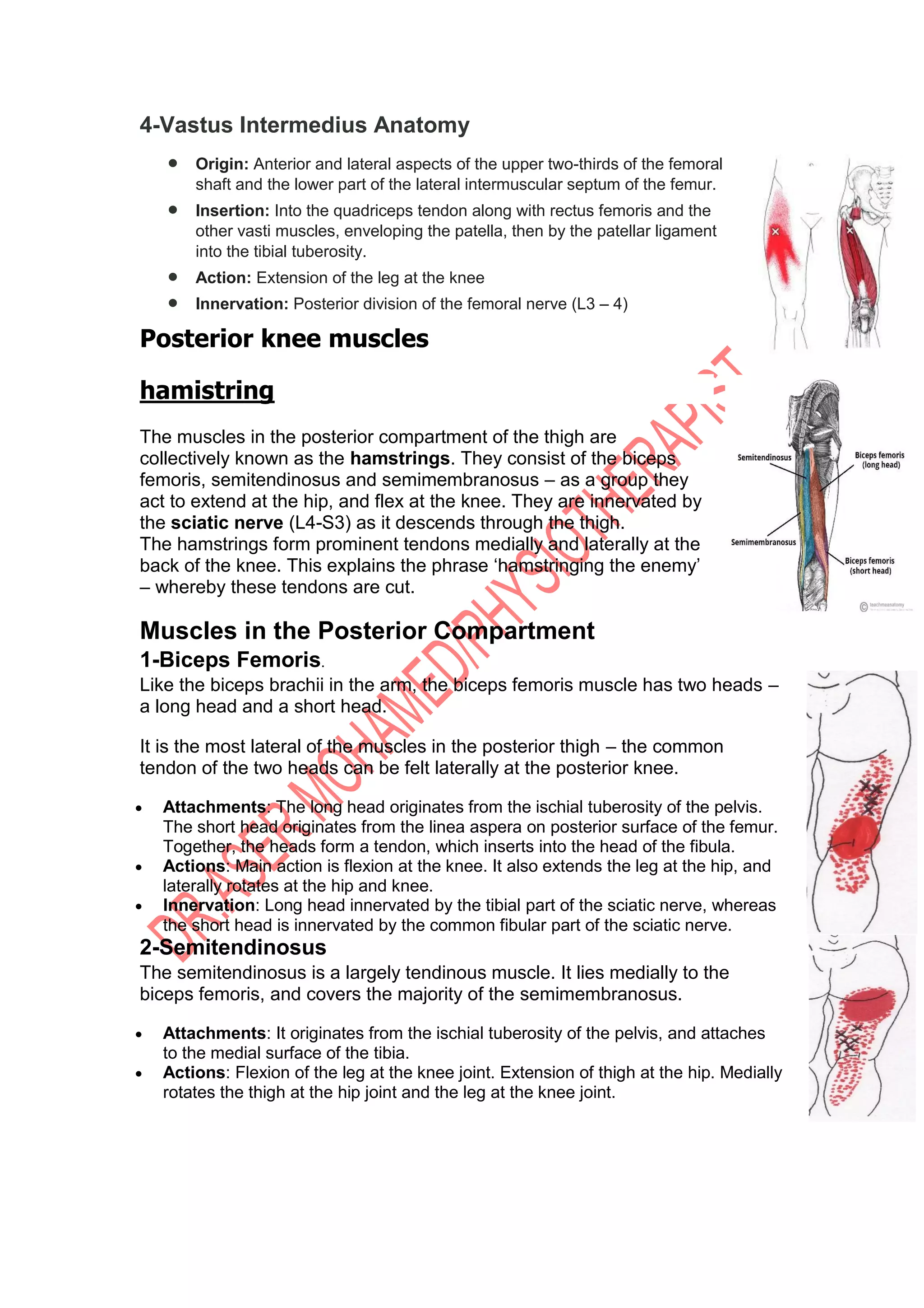 Knee joint | PDF