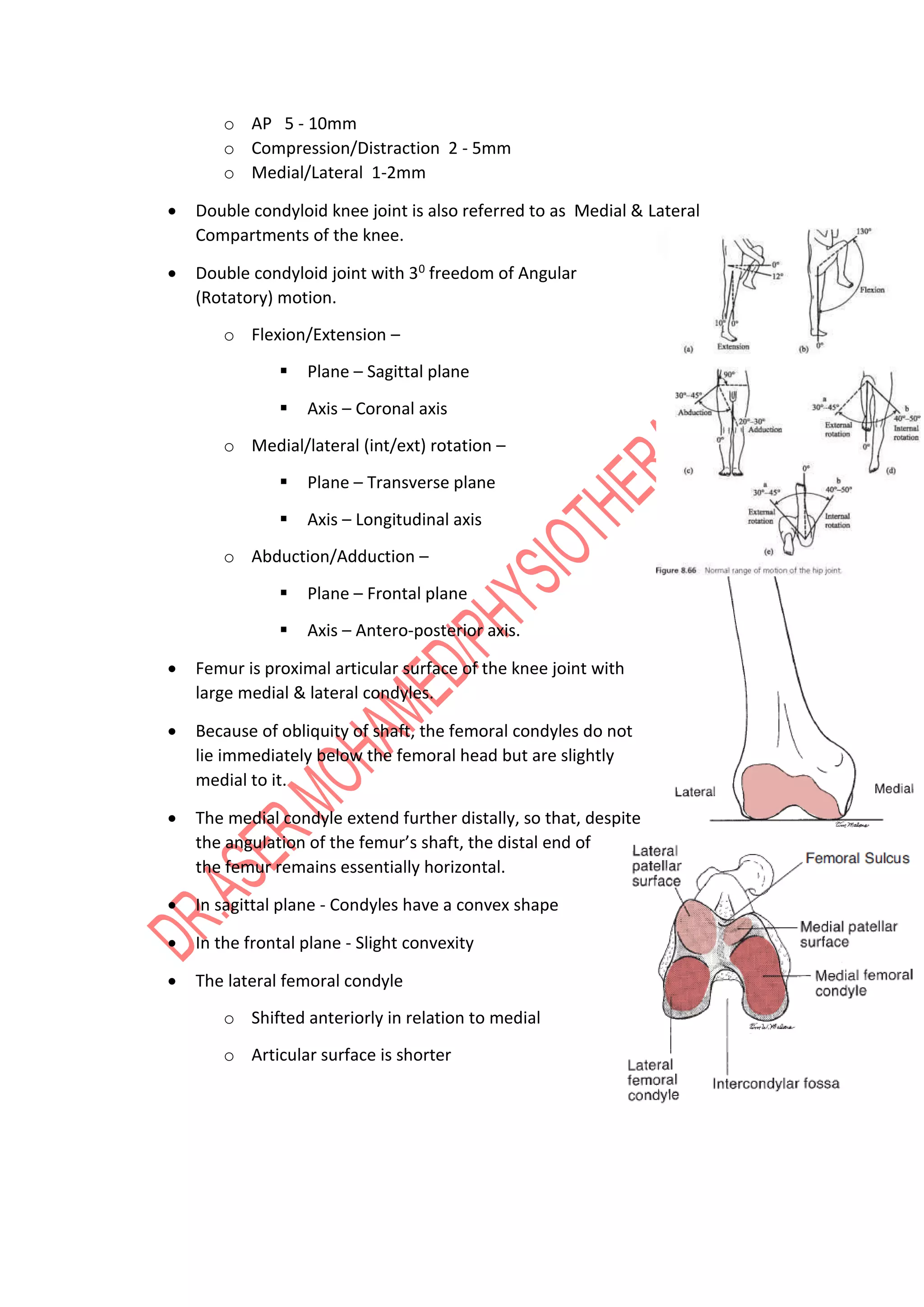 Knee joint | PDF