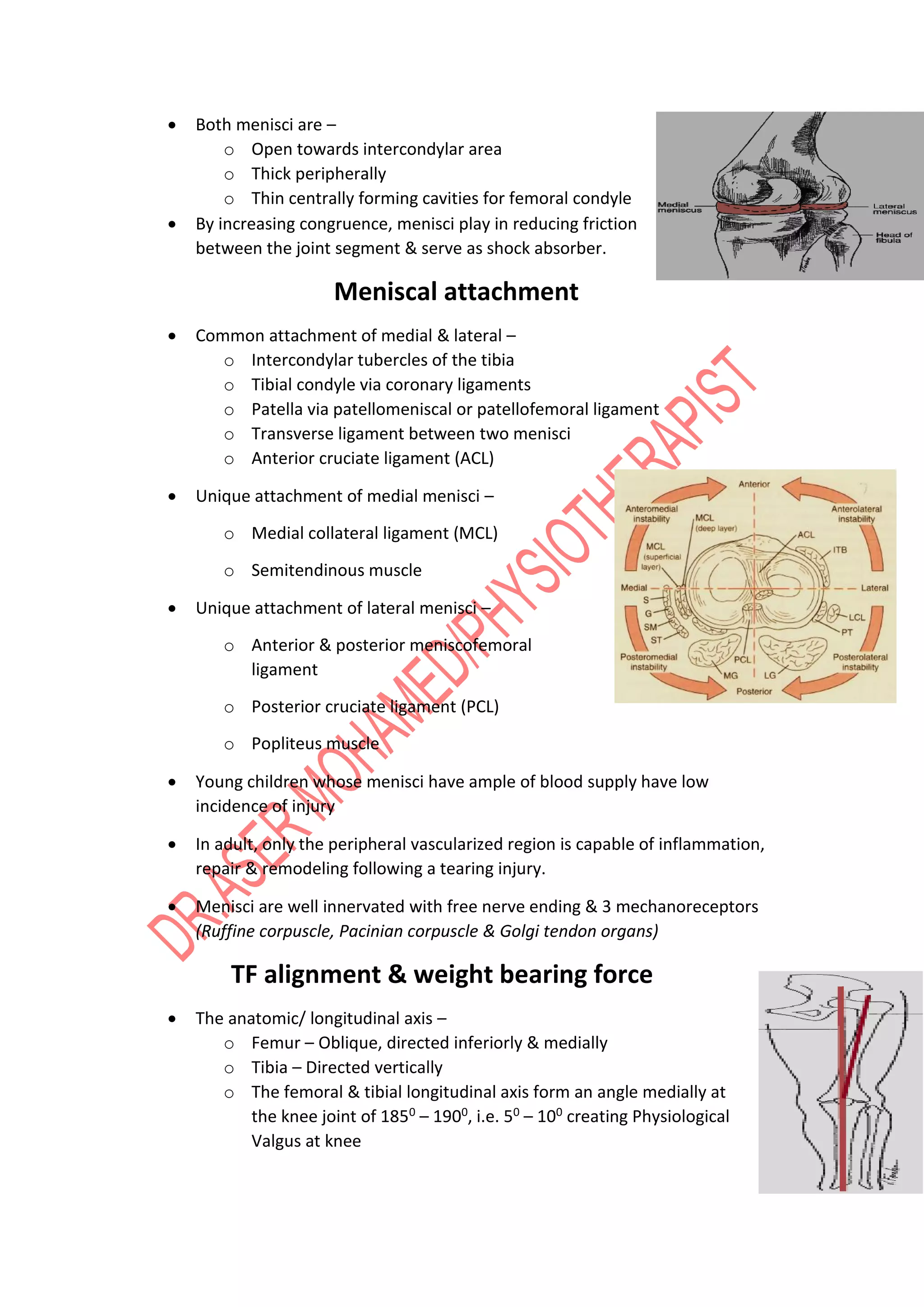 Knee joint | PDF