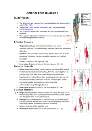 Knee joint | PDF