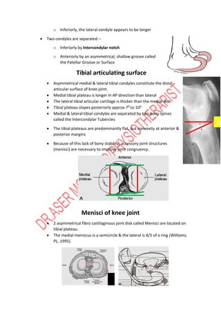 Knee joint | PDF