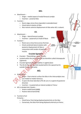 Knee joint | PDF