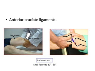 Anatomy and clinical importance of knee joint | PPTX