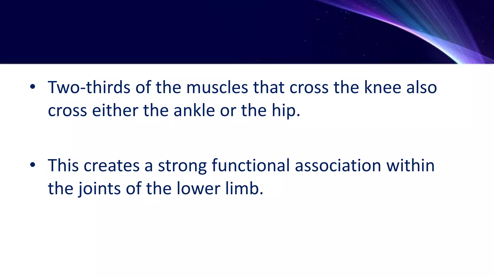Knee joint.Session 1 | PPT